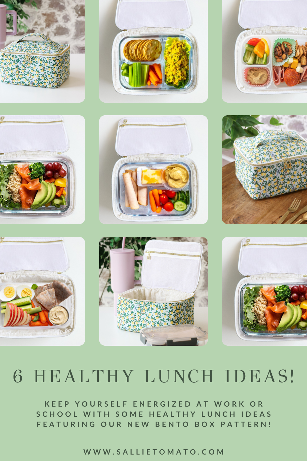 DIY Lunch Bag 6 Healthy Lunch Ideas Sallie Tomato DIY Lunch Bag 6 Healthy Lunch Ideas Sallie Tomato