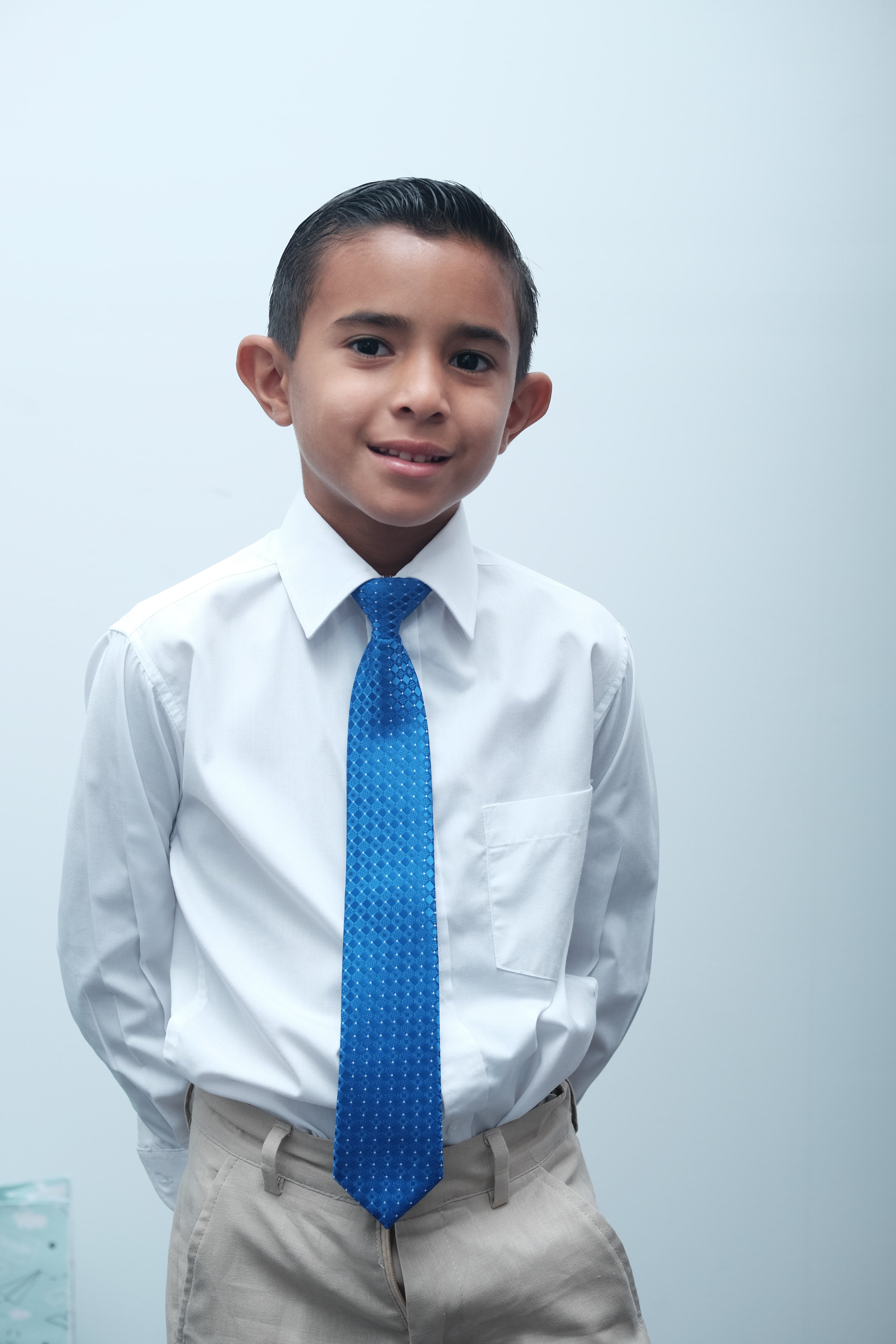 Sample Sale- Nicholas Small - Moda Soiree Fabric – Sallie Tomato